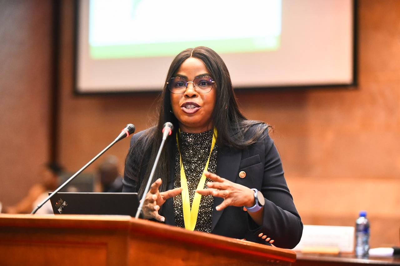 Pan-African Parliament Plenary Engages The Scourge of Drug and ...